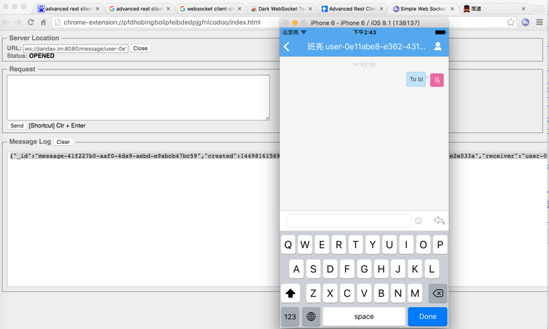 [记录]chrome的websocket插件：Simple WebSocket Client – 在路上